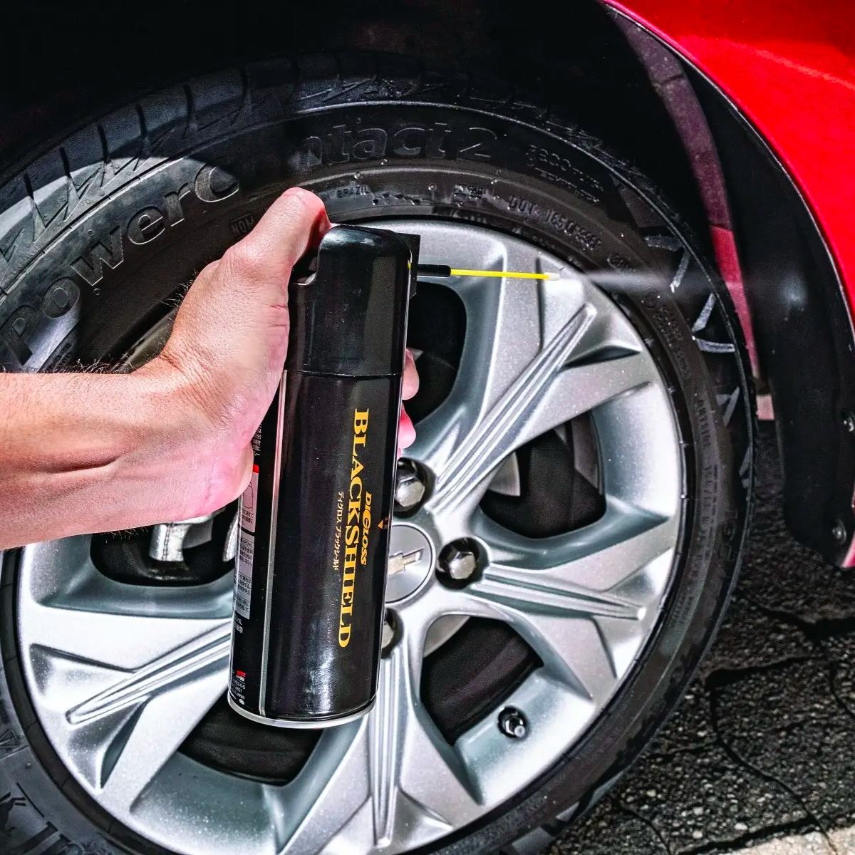 Protetor e Revitalizador de Plásticos e Borracha Soft99 - Digloss Black Shield - Grid Motors